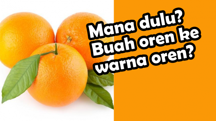Warna Oren Sebab Buah Oren atau Buah Oren dari Warna Oren? - AJAR