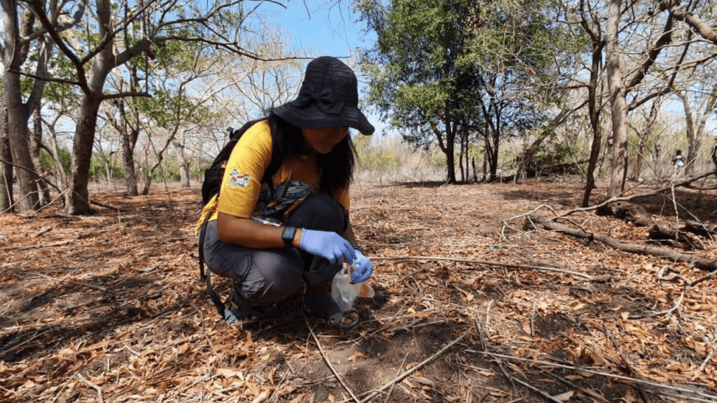 Apa Itu Teori Letupan Besar (Big Bang)? – AJAR